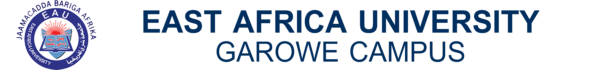 Undergraduate Programs – East Africa University Garowe Campus